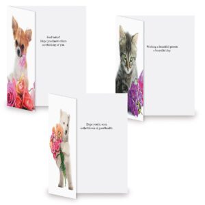 Current Big Bouquet Animal All Occasion Value Pack- Set of 20 (10 Designs), Large 5 x 7 Inch Cards, Birthday, Sympathy, Get Well, Friendship