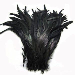 cenfry nature rooster coque tails feathers costume craft decoration 12-14inch pack of 25 (black)