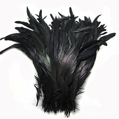 CENFRY Nature Rooster Coque Tails Feathers Costume Craft Decoration 12-14inch Pack of 25 (black)