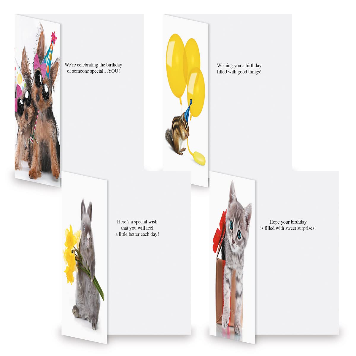 Current Big Bouquet Animal All Occasion Value Pack- Set of 20 (10 Designs), Large 5 x 7 Inch Cards, Birthday, Sympathy, Get Well, Friendship