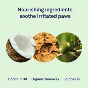 Petpost | Paw Balm for Dogs - Nourishing Cream Soothes Itchy, Dry Dog Paws with Moisturizing Ingredients - Organic Coconut Oil, Jojoba Oil, and Shea Butter 0.64 oz.