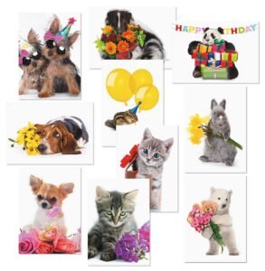 current big bouquet animal all occasion value pack- set of 20 (10 designs), large 5 x 7 inch cards, birthday, sympathy, get well, friendship