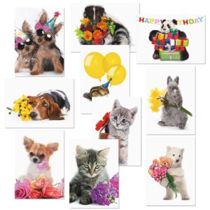 Current Big Bouquet Animal All Occasion Value Pack- Set of 20 (10 Designs), Large 5 x 7 Inch Cards, Birthday, Sympathy, Get Well, Friendship