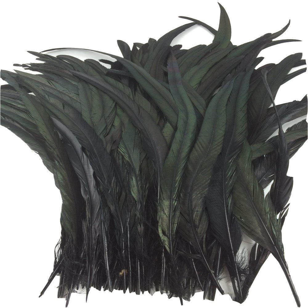 CENFRY Nature Rooster Coque Tails Feathers Costume Craft Decoration 12-14inch Pack of 25 (black)