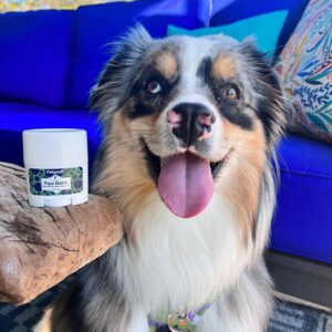 Petpost | Paw Balm for Dogs - Nourishing Cream Soothes Itchy, Dry Dog Paws with Moisturizing Ingredients - Organic Coconut Oil, Jojoba Oil, and Shea Butter 0.64 oz.