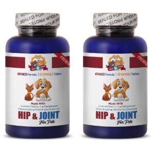 Joint Supplement for Dogs Chews - Support Hip and Joints for Pets - Dog and CAT Treats - Premium Formula - pet glucosamine Chews - 240 Treats (2 Bottle)