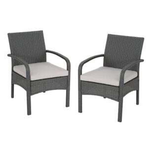 christopher knight home 305810 otto outdoor wicker club chair, gray and silver(set of 2)