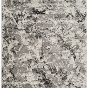 SAFAVIEH Skyler Collection 4' x 6' Grey/Ivory SKY186K Modern Abstract Non-Shedding Living Room Bedroom Accent Rug