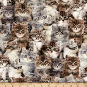 one of a kind kittens multi, fabric by the yard