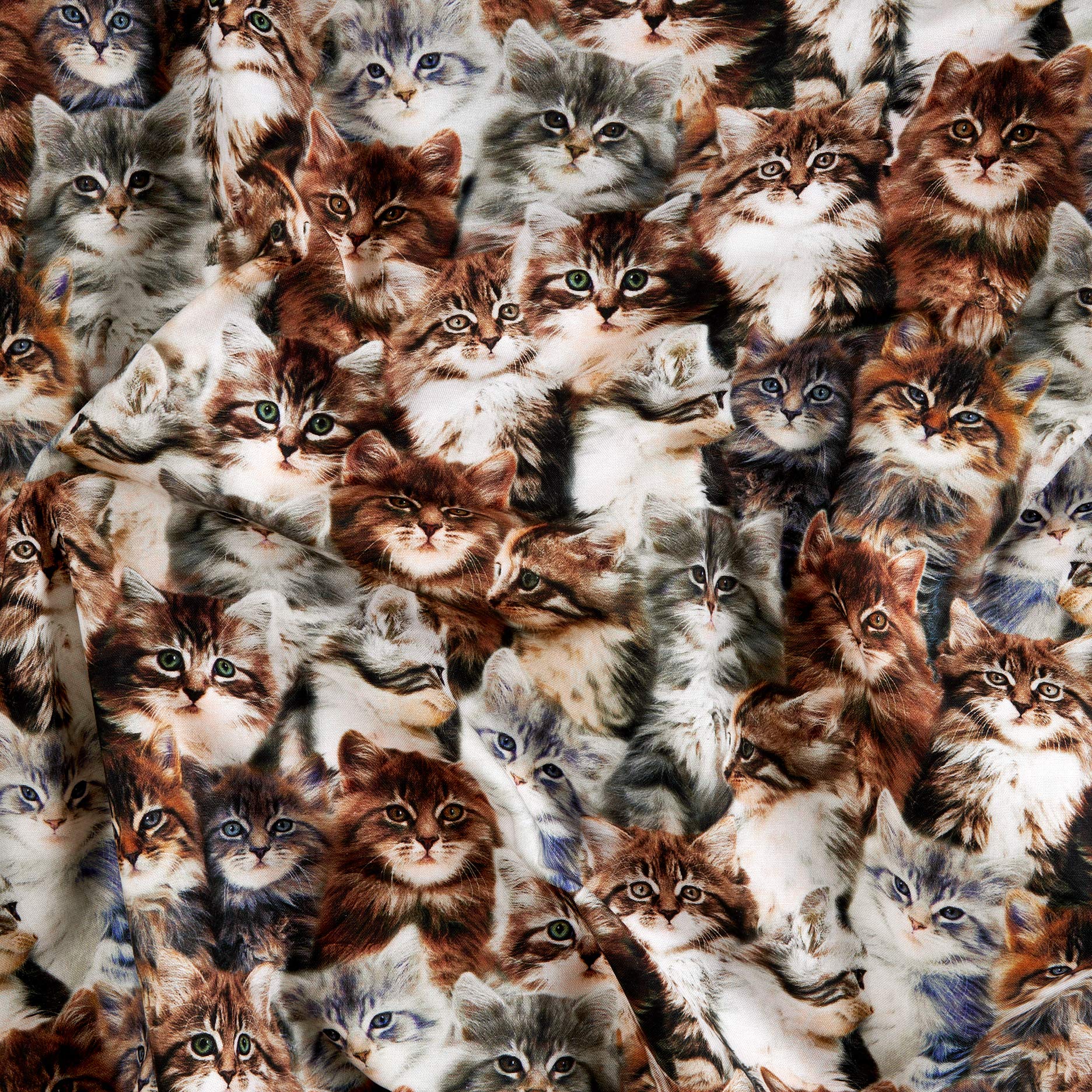 One Of A Kind Kittens Multi, Fabric by the Yard