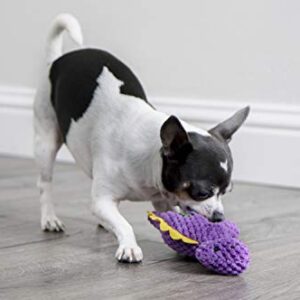 goDog Checkers Just for Me Dinos Bruto Squeaky Plush Dog Toy, Chew Guard Technology - Purple, Mini