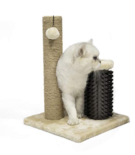 Amazon Basics Cat Scratching Post with Brush for Indoor Cats, 12.2 x 12.2 x 16.54 inch for Kittens, Beige