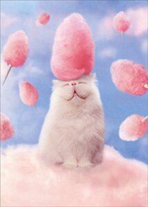 cotton candy cat avanti humorous/funny birthday card for her