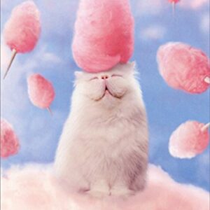 Cotton Candy Cat Avanti Humorous/Funny Birthday Card for Her