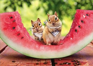 chipmunk watermelon avanti humorous/funny birthday card