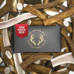 the antler box premium elk antler dog chews (1 piece box) (split, x-large (6-8oz)