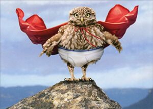 owl superhero with cape avanti humorous/funny birthday card