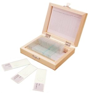 jiusion 25pcs prepared microscope slides set with fitted wooden case, animals insects plants flowers sample biological specimen, stereo microscope slide for basic biological science education