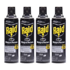 raid wasp hornet killer spray (14 ounce (pack of 4))