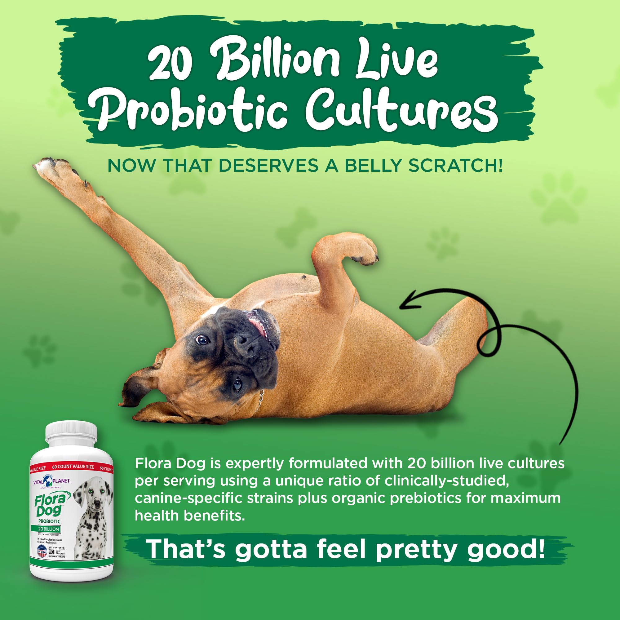 Vital Planet - Flora Dog Probiotic Chewable Tablets Supplement with 20 Billion Cultures and 10 Strains, High Potency Immune and Digestive Support Probiotics for Dogs, 60 Beef Flavored Chewable Tablets