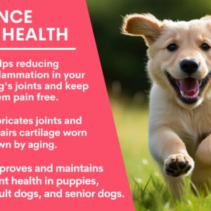 Petz Park Glucosamine for Dogs - Hip & Joint Support Powder with Chondroitin & MSM - Arthritis Pain Relief, Hip Dysplasia Treatment - 800mg Glucosamine - 90 Scoops