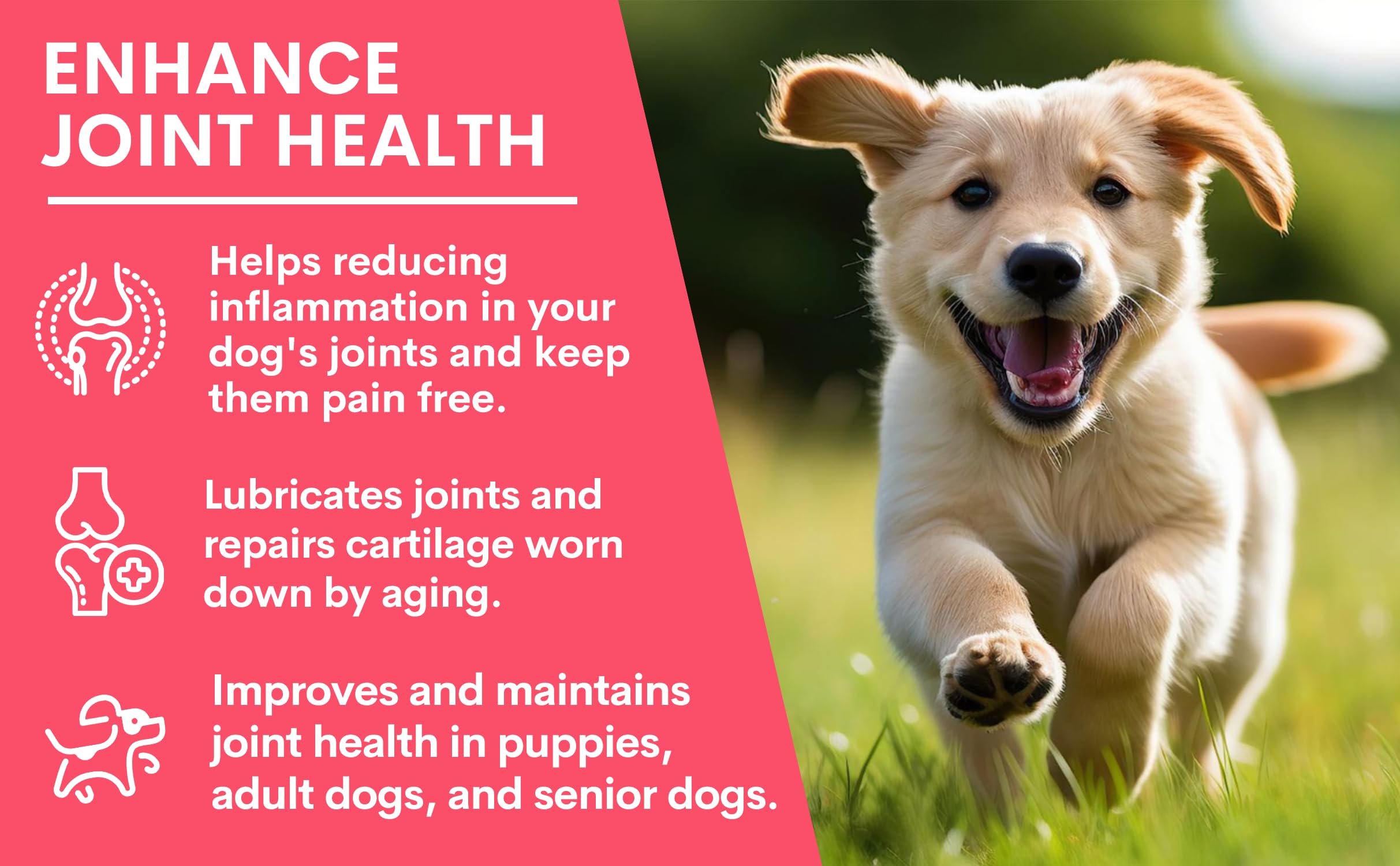 Petz Park Glucosamine for Dogs - Hip & Joint Support Powder with Chondroitin & MSM - Arthritis Pain Relief, Hip Dysplasia Treatment - 800mg Glucosamine - 90 Scoops