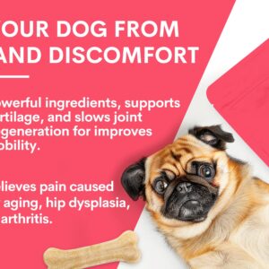 Petz Park Glucosamine for Dogs - Hip & Joint Support Powder with Chondroitin & MSM - Arthritis Pain Relief, Hip Dysplasia Treatment - 800mg Glucosamine - 90 Scoops