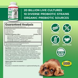 Vital Planet - Flora Dog Probiotic Chewable Tablets Supplement with 20 Billion Cultures and 10 Strains, High Potency Immune and Digestive Support Probiotics for Dogs, 60 Beef Flavored Chewable Tablets