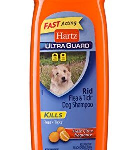 Hartz UltraGuard Citrus Scented Rid Flea & Tick Dog Shampoo