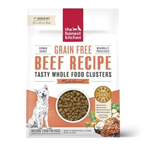 the honest kitchen whole food clusters grain free beef dry dog food, 1 lb