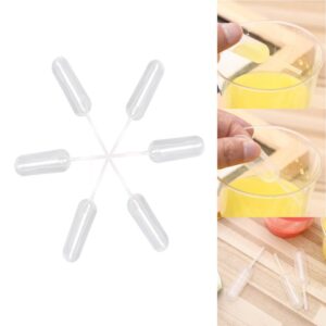 LanMa 100pcs Cupcakes Pipettes 4mL Plastic Pipettes Squeeze Transfer Pipettes for Strawberries Chocolate Ice Cream Mini Dropper