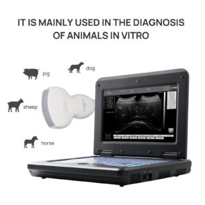 CONTEC Veterinary Portable Ultrasound Scanner For Pregnancy Check On Animals Horse Equine Goat Sheep Dog With 3.5MHz Convex Probe