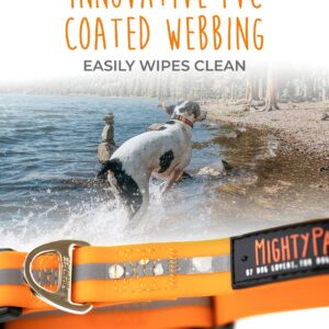 Mighty Paw Waterproof Dog Collar - Smell-Proof Active Gear - Reflective Stripe Coated Nylon Webbing - Dog Swim Collar - Smell Resistant Dog Collar - Dog Collar for All Dog Breeds - (Orange, Medium)