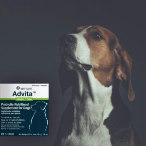 VetOne: Advita Probiotic Powder for Dogs, a Daily Nutritional Supplement to Maintain Immune System, Appetite, & Digestion in 30, 1g Packets (6-Pack)