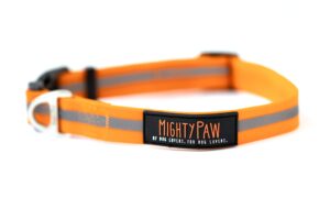 mighty paw waterproof dog collar - smell-proof active gear - reflective stripe coated nylon webbing - waterproof collar - comfortable dog collar for all dog breeds - dog collar durable (green, small)