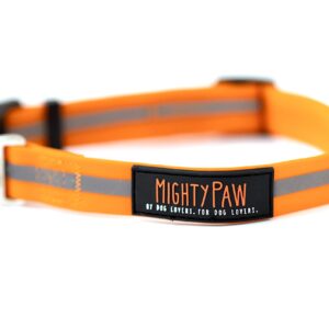 Mighty Paw Waterproof Dog Collar - Smell-Proof Active Gear - Reflective Stripe Coated Nylon Webbing - Dog Swim Collar - Smell Resistant Dog Collar - Dog Collar for All Dog Breeds - (Orange, Medium)