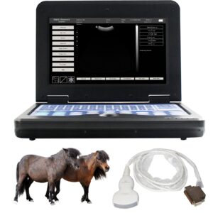 contec veterinary portable ultrasound scanner for pregnancy check on animals horse equine goat sheep dog with 3.5mhz convex probe