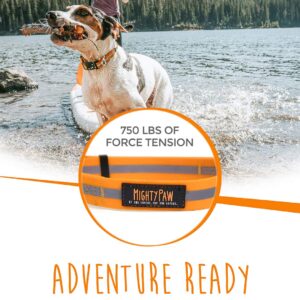 Mighty Paw Waterproof Dog Collar - Smell-Proof Active Gear - Reflective Stripe Coated Nylon Webbing - Dog Swim Collar - Smell Resistant Dog Collar - Dog Collar for All Dog Breeds - (Orange, Medium)