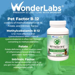 Wonder Laboratories Pet Factor B-12 | Vitamin B-12 in Methylcobalamin Form | Popular in Treatment of EPI in Dogs 180 Capsules