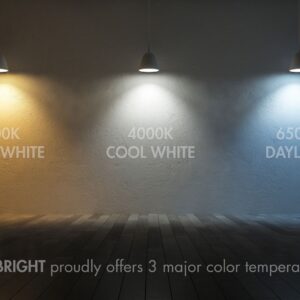 Viribright 100 Watt Equivalent (13W), LED Light Bulbs, Warm White 2700K, A19 100w Bulb, A19 Base Light Bulb, 4 Pack