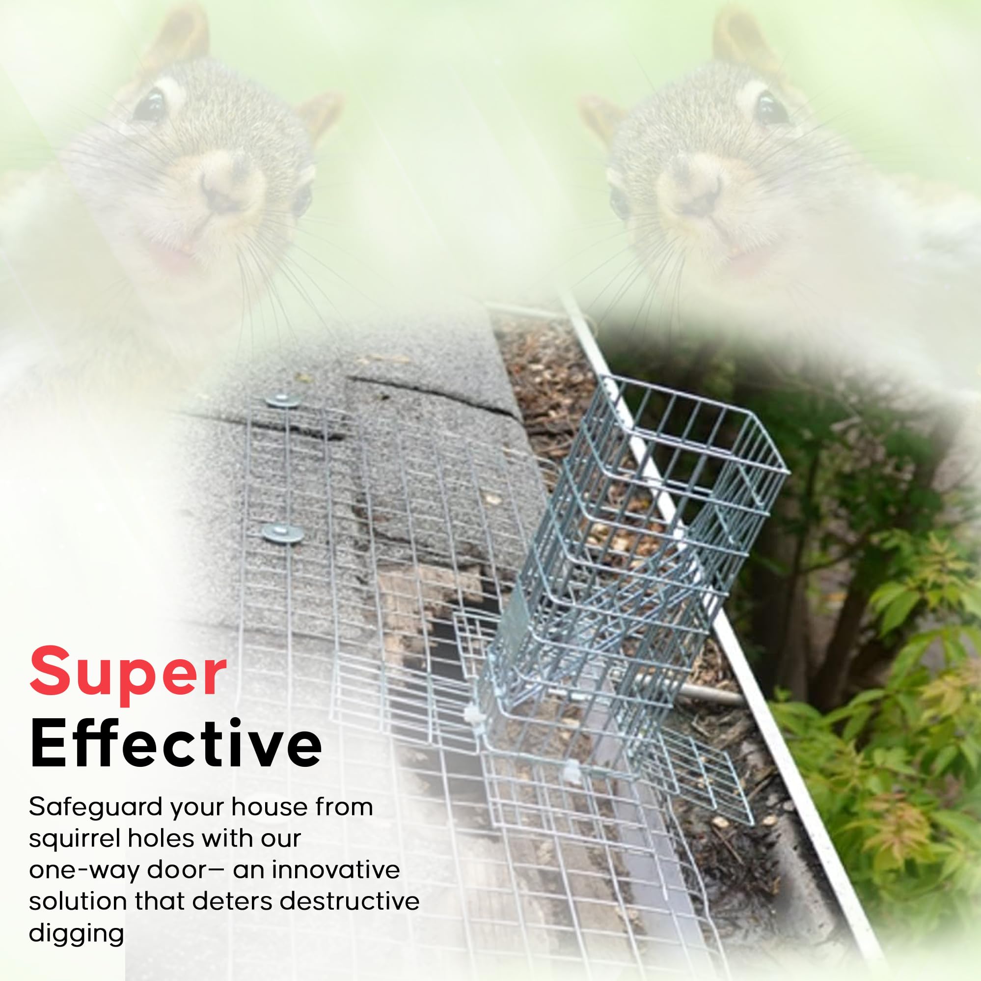 Rhino Excluders® S35 One Way Door for Squirrels, Rats, Chipmunks and Similar Size Rodents - Live Trap Alternative