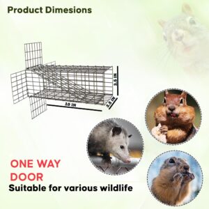 Rhino Excluders® S35 One Way Door for Squirrels, Rats, Chipmunks and Similar Size Rodents - Live Trap Alternative