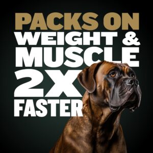 Bully Max 11-in-1 Muscle Gain Power Chews - High Protein Dog Supplement with Amino Acids - Healthy Treats for Puppy & Adult Dogs - Premium Muscle Builder for All Breeds - 75 Tasty Soft Dog Chews