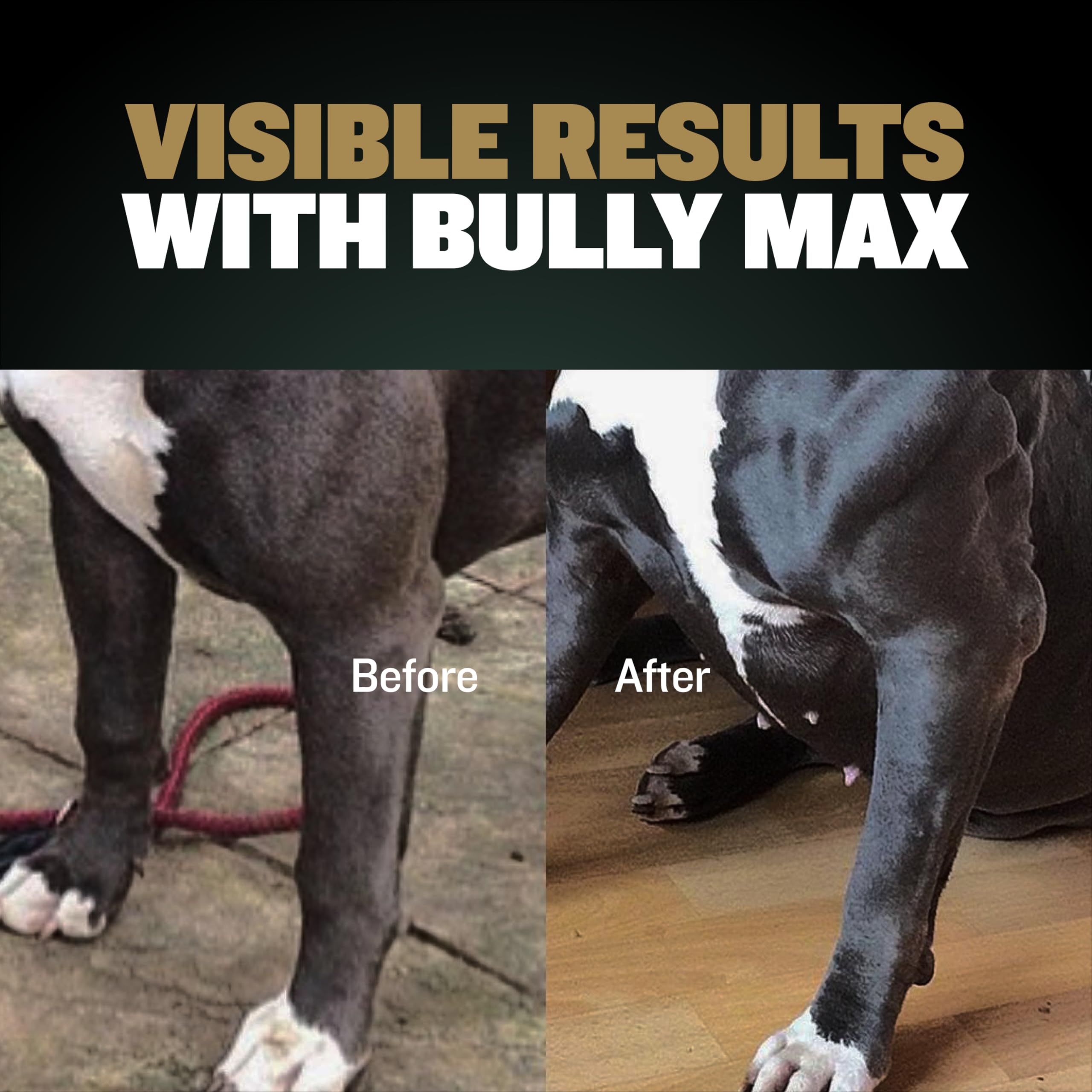 Bully Max 11-in-1 Muscle Gain Power Chews - High Protein Dog Supplement with Amino Acids - Healthy Treats for Puppy & Adult Dogs - Premium Muscle Builder for All Breeds - 75 Tasty Soft Dog Chews