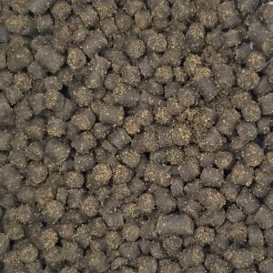 Invert Aquatics Soft Pellets for Axolotls - Moist Sinking Diet for Axolotl, Newts, Salamanders & Other Small Amphibians (1.5 oz (42.5g))