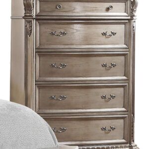 Acme Northville 5 Drawer Wooden Chest in Antique Silver