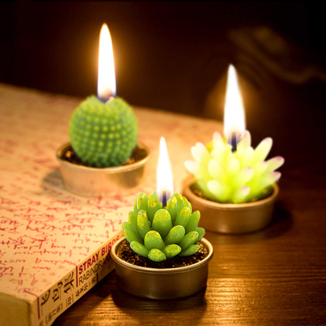 Glarks Cute Tea Lights Tealight Candles, Succulent Cactus for Birthday Party Valentine's Day Wedding Spa Home Decor and DIY Gift, 12Pcs a Pack