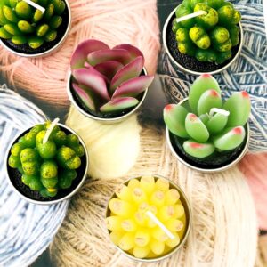 Glarks Cute Tea Lights Tealight Candles, Succulent Cactus for Birthday Party Valentine's Day Wedding Spa Home Decor and DIY Gift, 12Pcs a Pack