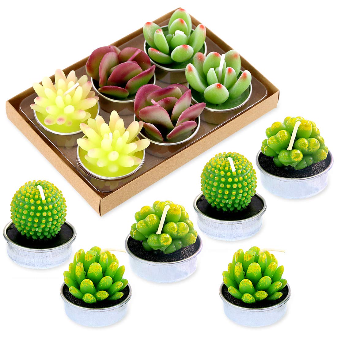 Glarks Cute Tea Lights Tealight Candles, Succulent Cactus for Birthday Party Valentine's Day Wedding Spa Home Decor and DIY Gift, 12Pcs a Pack