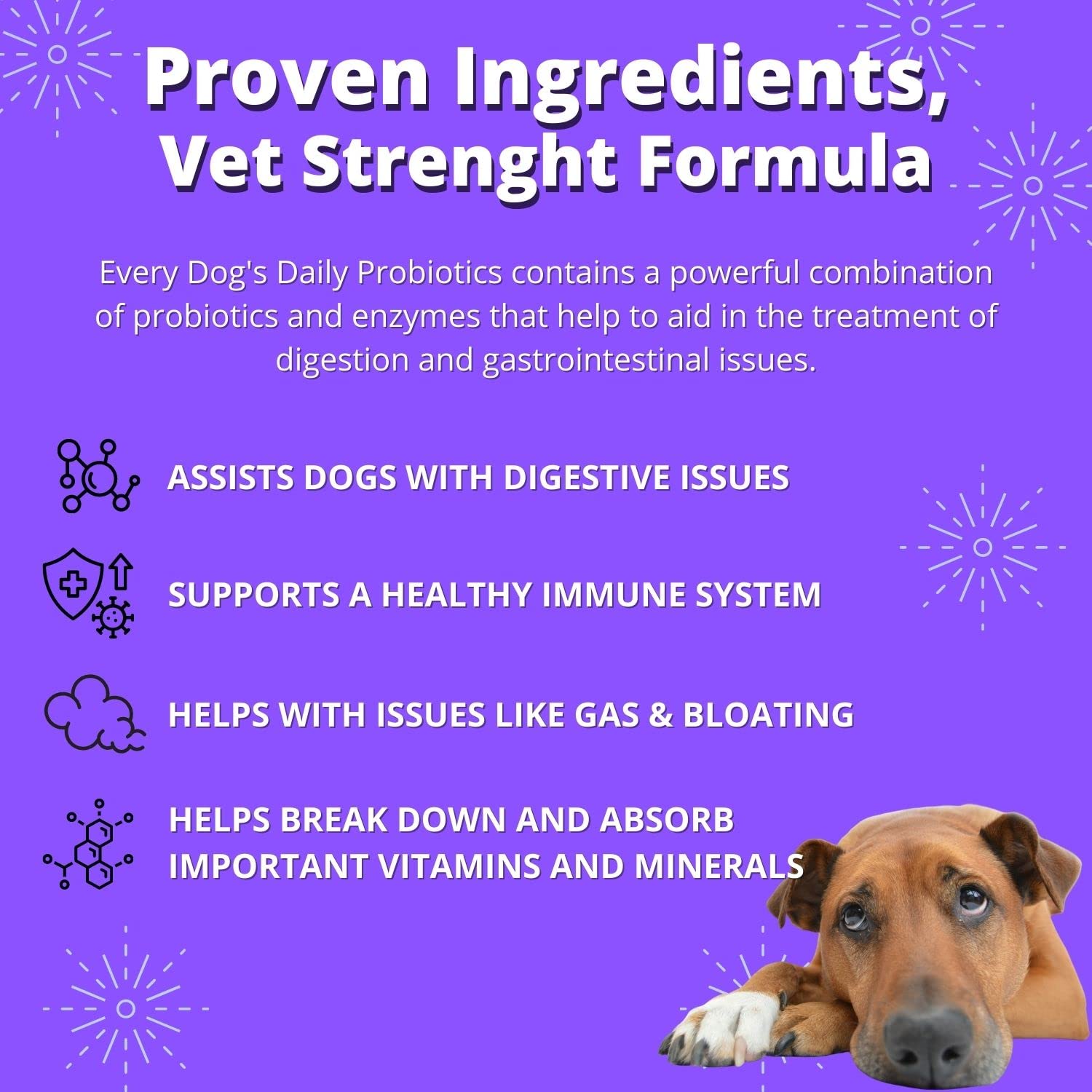 Dog Probiotics and Digestive Enzymes - Relief Diarrhea, Dog Gas, Bloating, Constipation, Upset Stomach - Pet Digestive Support - Soft Chews Probiotics for Dogs & Puppies